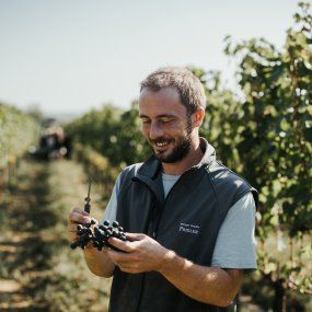 Weingut Prieler | Leithaberg / Neusiedlersee | Österreich | Herkunft ...