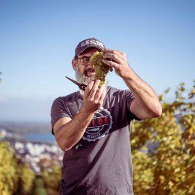 Weingut Alexander Zöller | Kremstal | Österreich | Herkunft & Weingüter ...